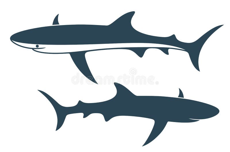 Haifisch Auszug vektor abbildung. Illustration von tier - 83557405