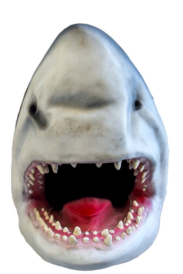 Haifisch Modell Eines Kopfes Stock Fotos - Freie & Royalty-Free Stock ...