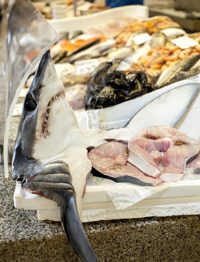 443 Haifisch Verkauf Stock Fotos - Freie & Royalty-Free Stock Fotos von ...