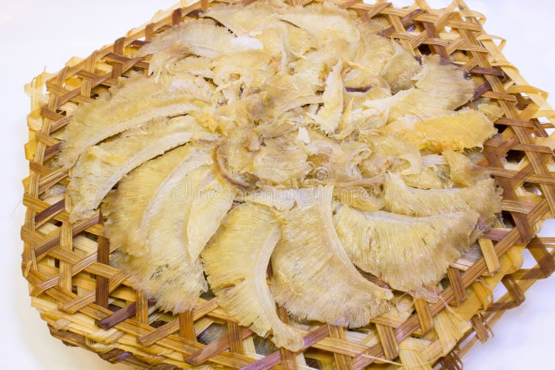 Haifisch-Flosse-Suppe stockbild. Bild von stlich, flosse - 19795625