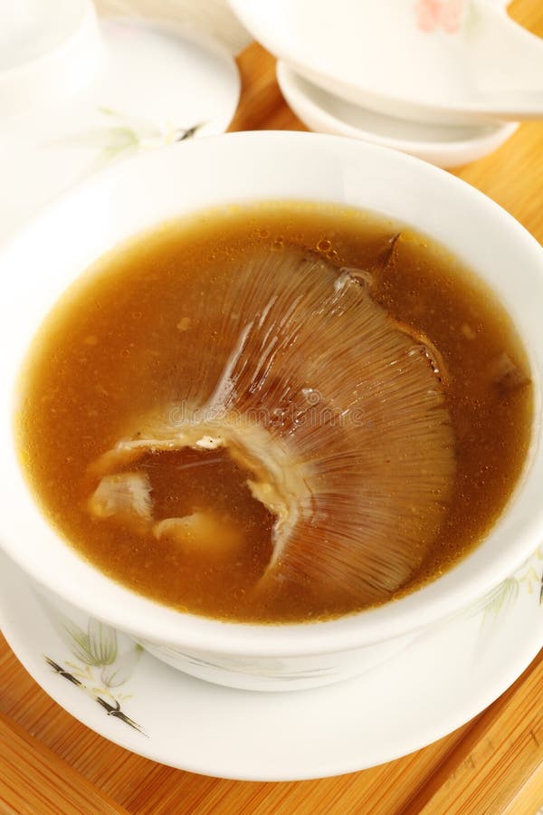 Haifischflossensuppe stockbild. Bild von speisen, nahrung - 37586217