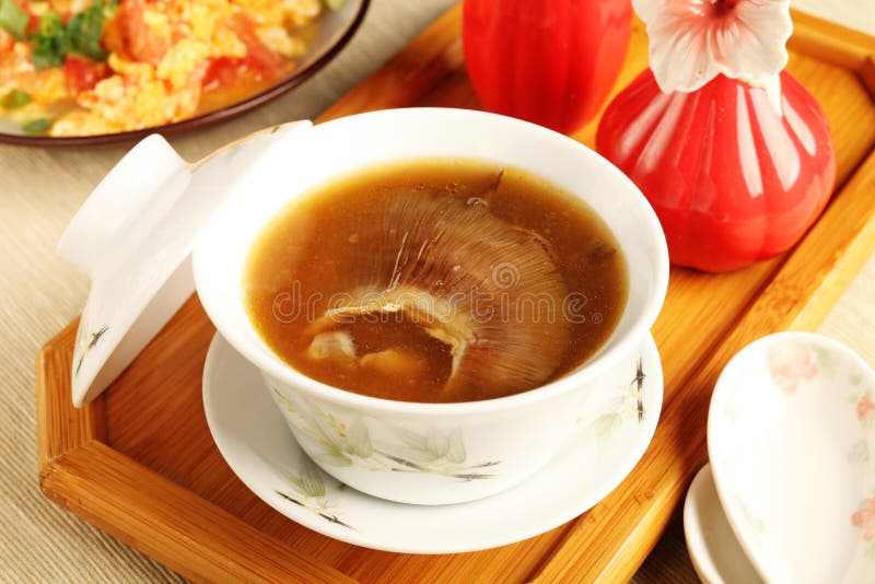 Haifischflossensuppe stockfoto. Bild von vogel, schwach - 72234416