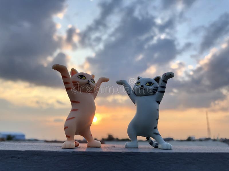 Hail for cats!! stock image. Image of sunset, boiss - 219857519