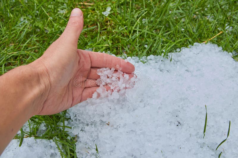 Hail on the Grass, Hail Balls in the Hands of a Person after a ...