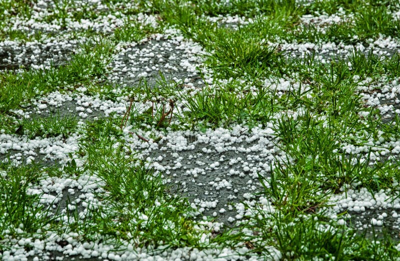 Hail after storm on grass stock image. Image of global - 21139261