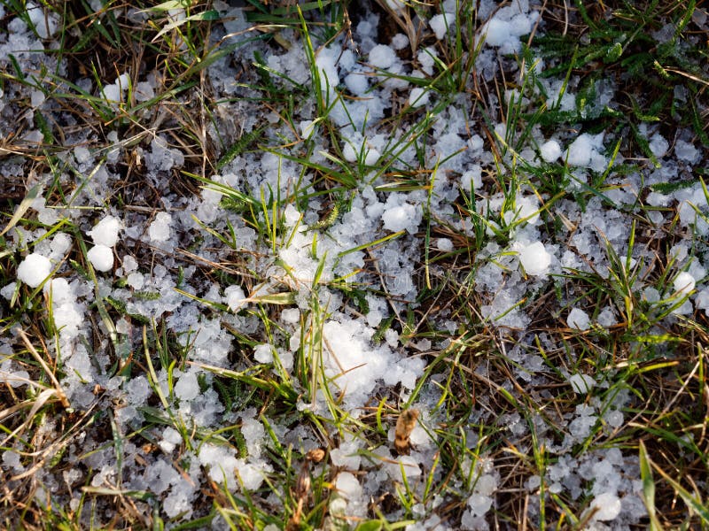 Hail Ice Balls on Green Grass in Spring Stock Photo - Image of frozen ...
