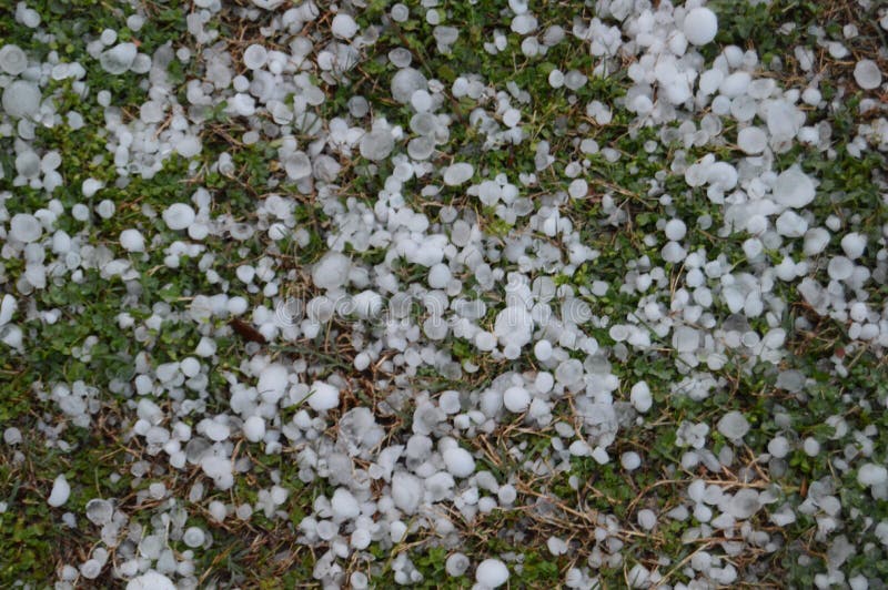 Hail Storm Aftermath stock image. Image of remnants - 123666177