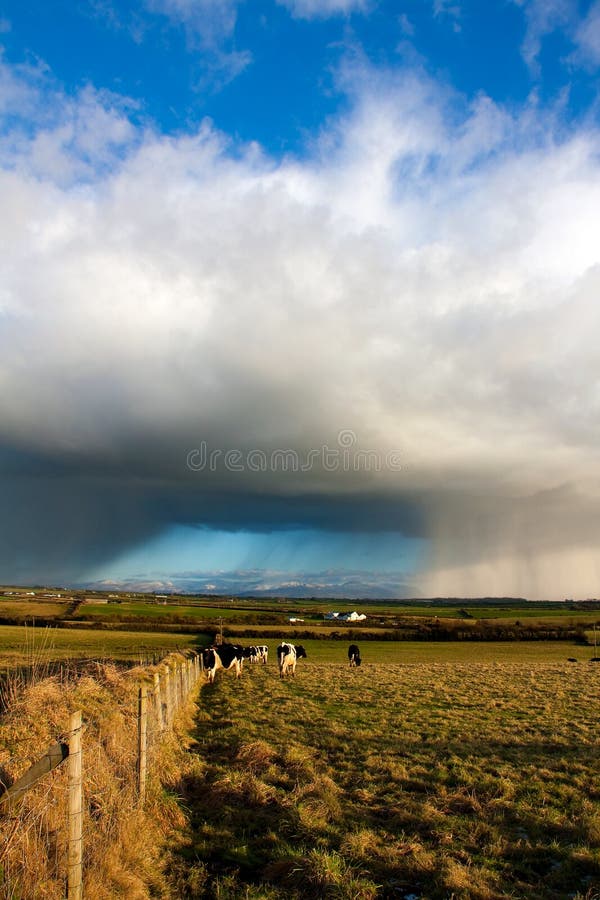 Hail storm stock image. Image of danger, dramatic, stones - 22233667