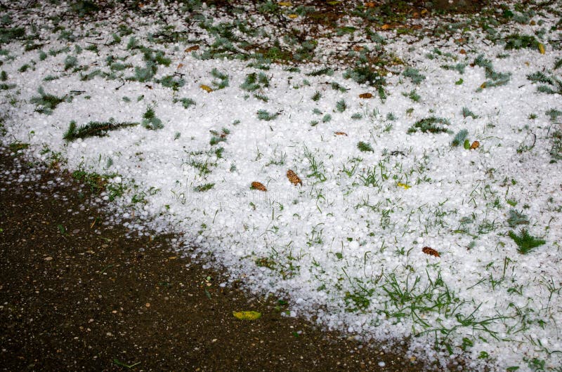Hail Storm Damaging Trees in Garden Stock Image - Image of hailstorm ...