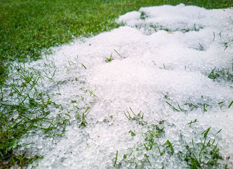 Hail after the Storm Lies on the Grass in the Garden.Climate Change ...