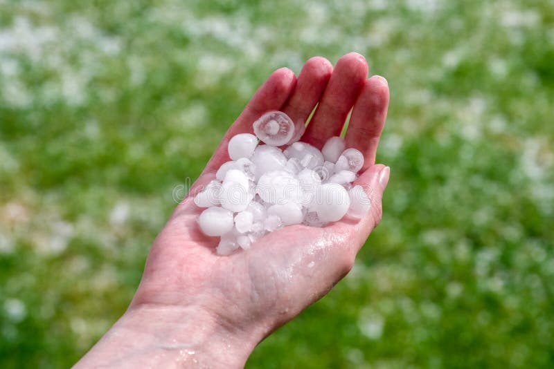 Hails in hand. Hailstorm stock photo. Image of hailing - 152089920