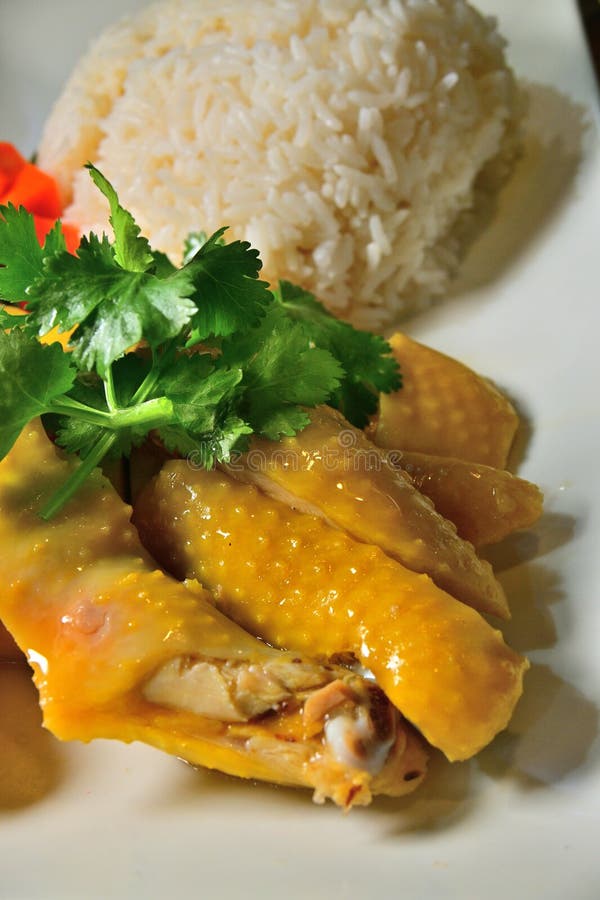 Hainanese Chicken Rice Wings Stock Photo - Image of salad, spicy: 269599010