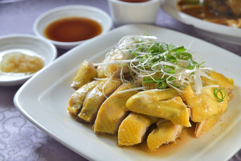 Hainanese steam Chicken stock image. Image of green - 254683873