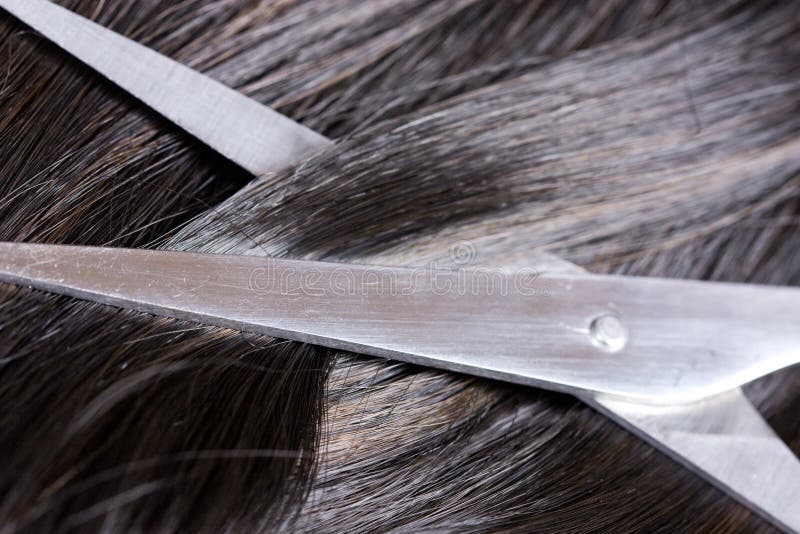 240 Girl Mane Part Stock Photos - Free & Royalty-Free Stock Photos from ...