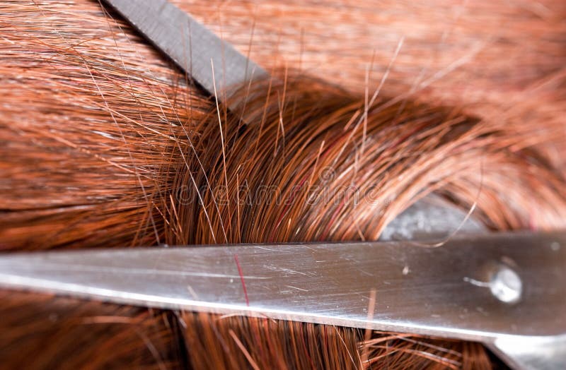 Hair stock image. Image of feminine, lock, haircut, female - 10972817