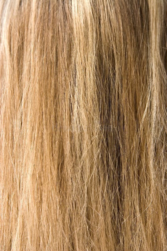 2,310 Textured Frinch Haircut Stock Photos - Free & Royalty-Free Stock ...