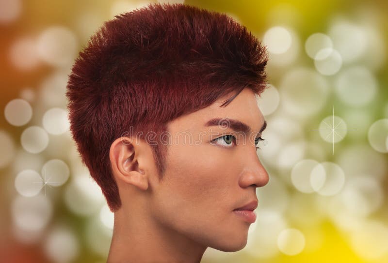 Haircut stock photo. Image of adult, hair, fashion, hairdresser - 20186662