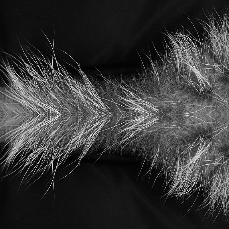 Hair Abstract Background Shapes and Blurs Stock Illustration ...