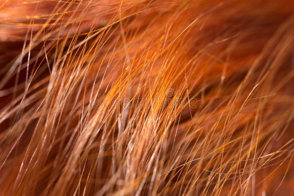 Hair as background stock image. Image of long, hairstyle - 64427205