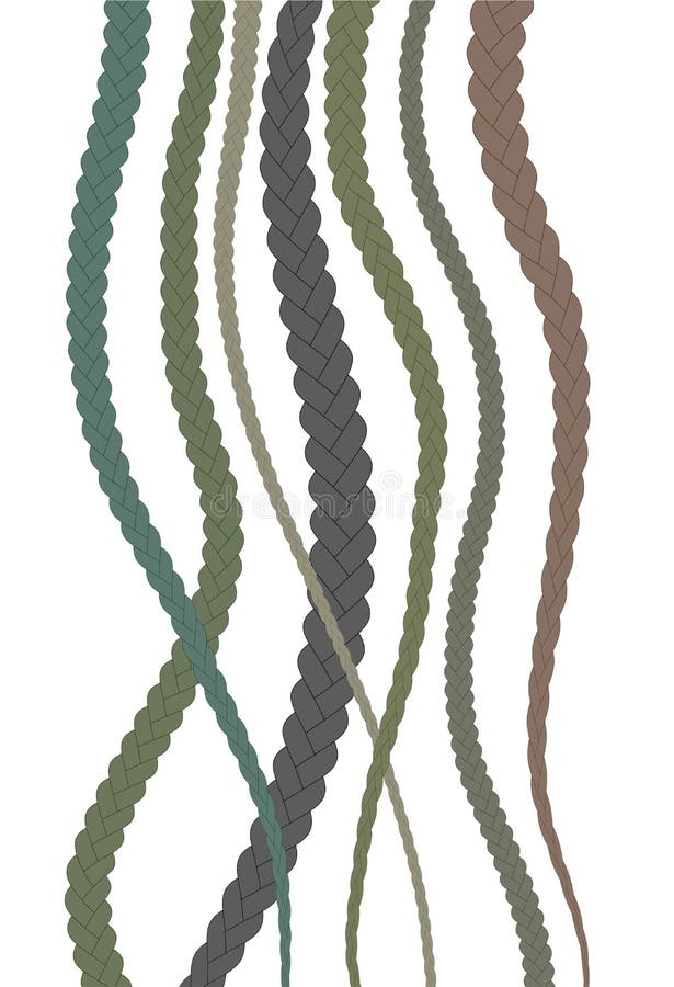 Braids Stock Illustrations – 11,006 Braids Stock Illustrations, Vectors ...