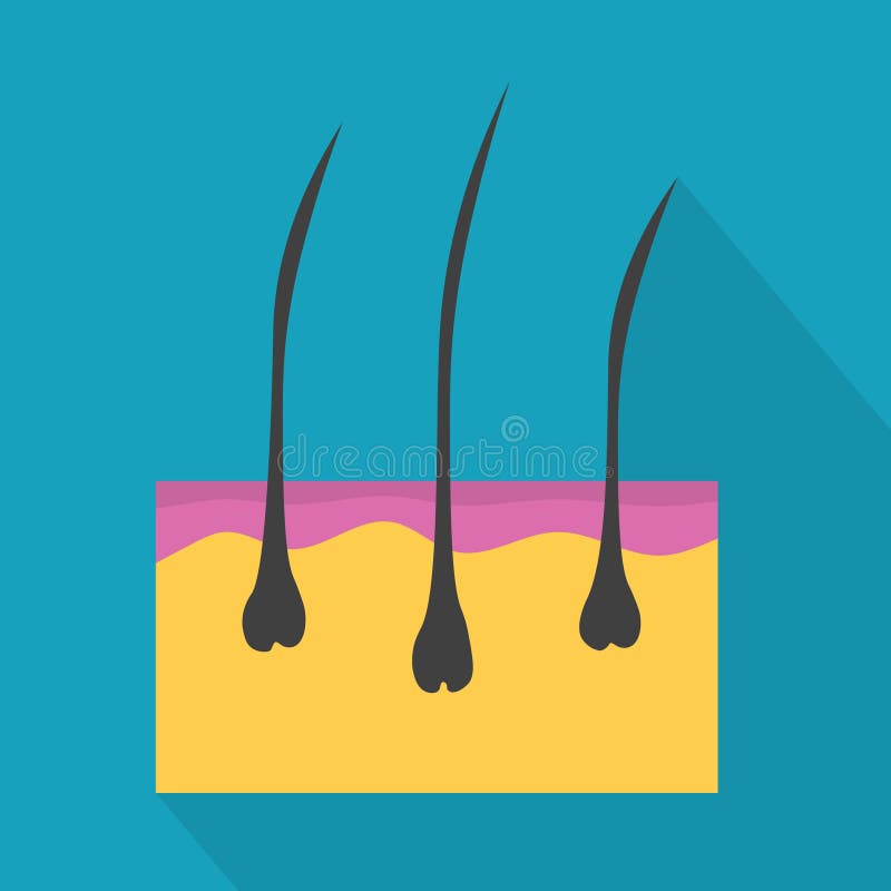 Hair Bulb Stock Illustrations – 3,699 Hair Bulb Stock Illustrations ...