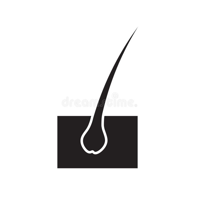 Hair bulb icon stock vector. Illustration of bulb, graphic - 147624194