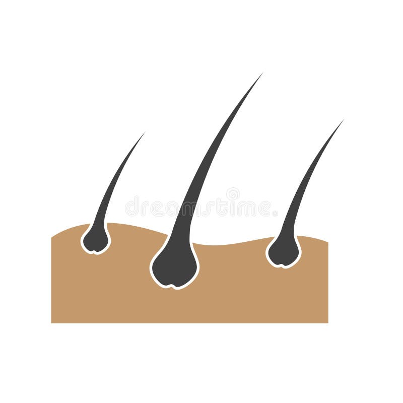 Hair bulb icon stock vector. Illustration of symbol - 147624454