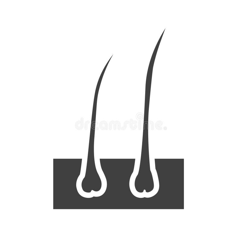 Hair bulb icon- stock vector. Illustration of growth - 160109431