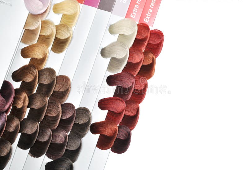 Hair Color Palette with a Range of Swatches. Tints. Color Chart for ...