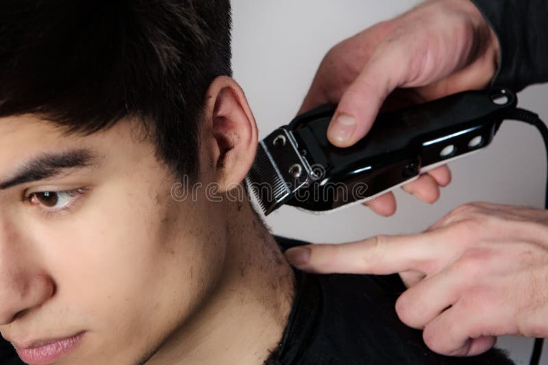 Hair cut stock image. Image of barber, hairdresser, trim - 36134281