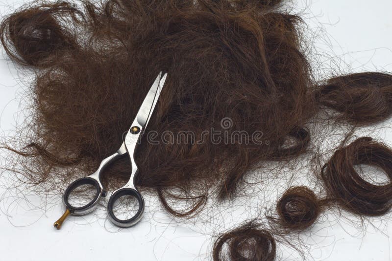Hair Cut and Tangled with Hairdressing Scissors Stock Photo - Image of ...