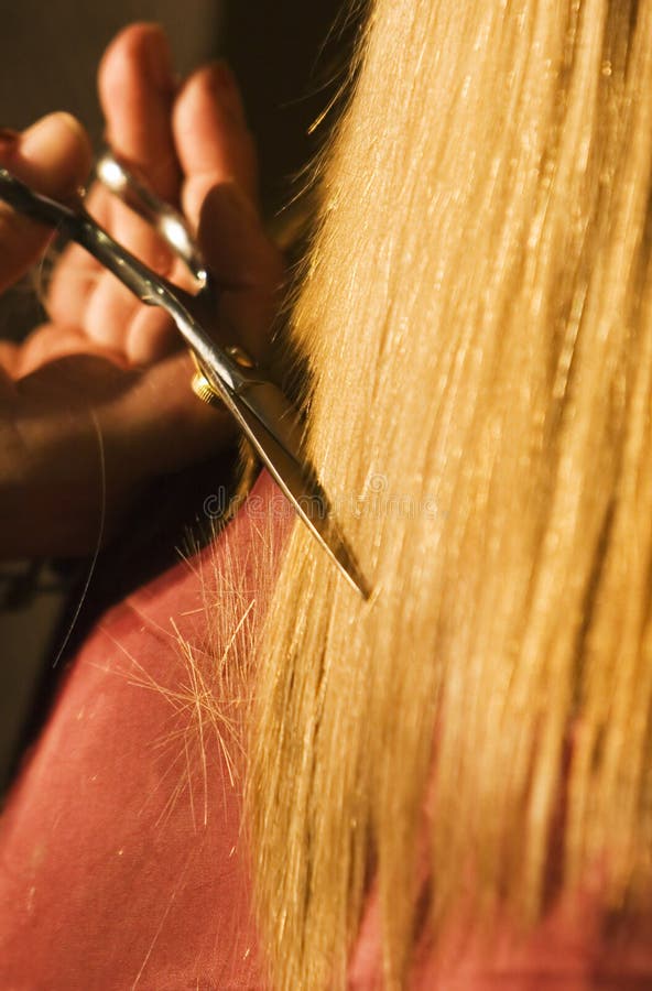 848 Cutted Hand Stock Photos - Free & Royalty-Free Stock Photos from ...