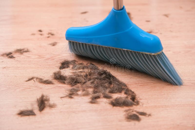 Hair after Cutting on the Floor. Cleaning Hair with a Broom in Dustpan ...