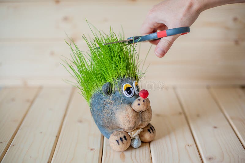 Hair Cutting, Hedgehog with Needles of Grass Stock Image - Image of ...