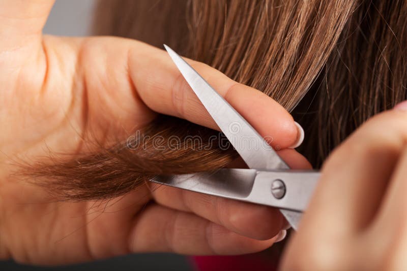 Hair cutting stock image. Image of customer, fashion - 42329455
