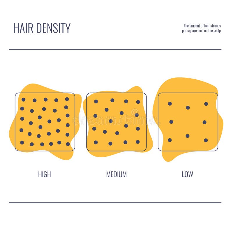 Hair Density Types Chart of Low, Medium, High Strand Volume Stock ...
