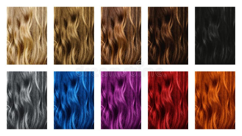 Hair Dyeing Colors. Set of Different Hair Color Samples Stock Image ...