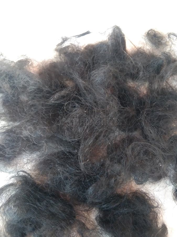 Hair Fall on the Floor Scattered Everywhere Stock Image - Image of fall ...