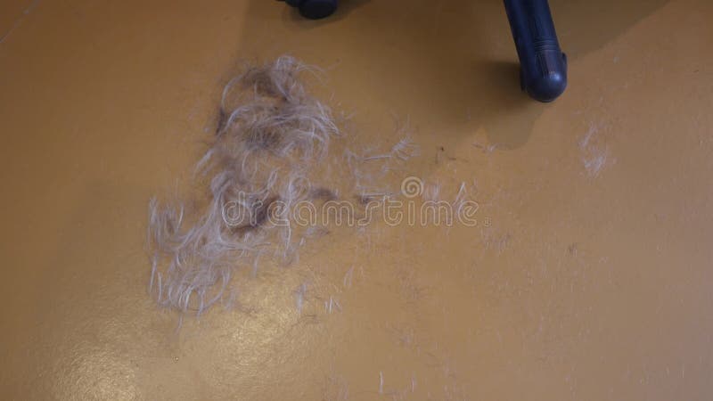Cut Off Hair on Floor in Beauty Salon. Cut Brown Hair Falling Down at ...
