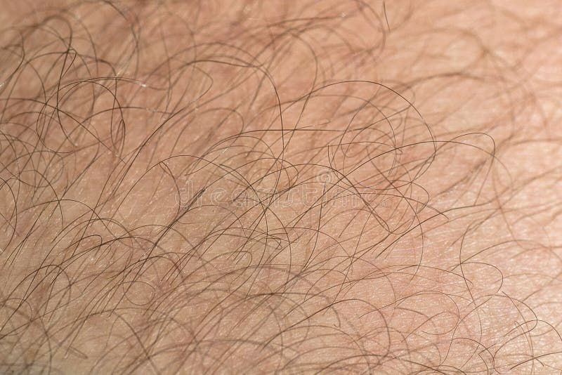 Hair stock photo. Image of paper, print, table, foot - 43888260