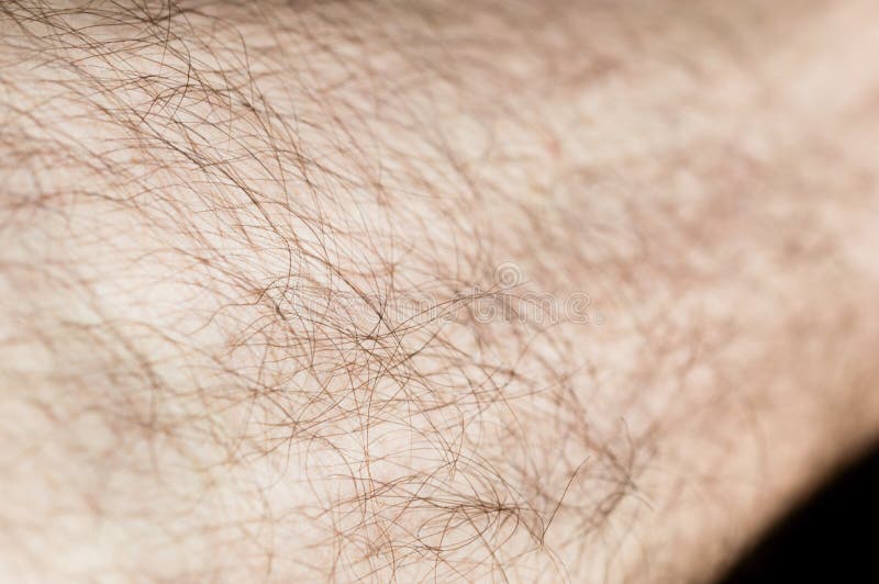 Hair on the human leg stock photo. Image of healthy - 137536902
