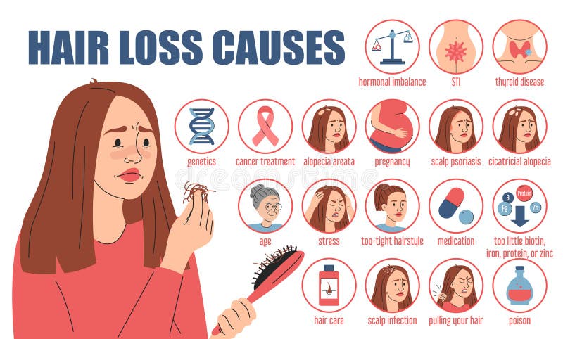 Hair Loss Causes Infographic Vector Isolated Web Banner Stock Vector