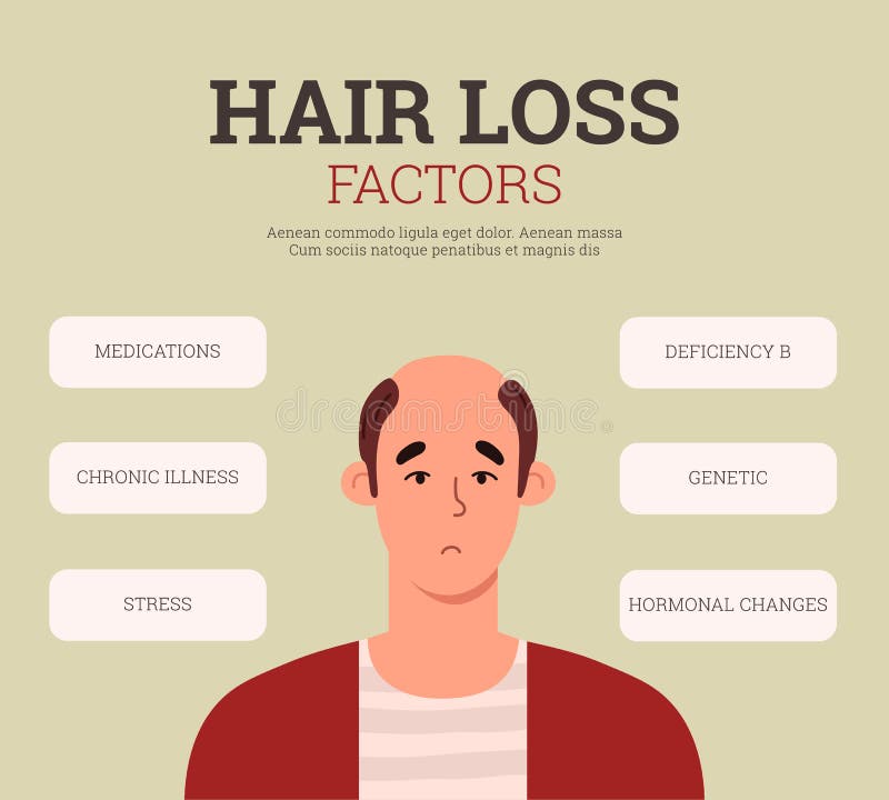 Hair Loss Factors Infographic Or Informative Banner Flat Vector