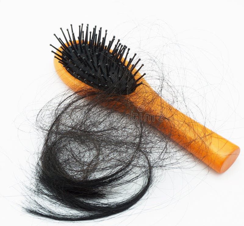 Hair loss problem stock image. Image of health, comb, human - 3668645