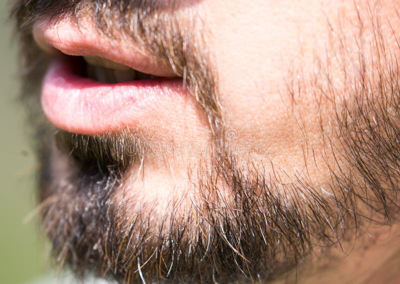 Hair of a Man with a Beard and Mustache Stock Photo - Image of macro ...