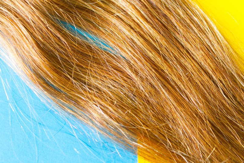 421 Bad Hair Condition Stock Photos - Free & Royalty-Free Stock Photos ...