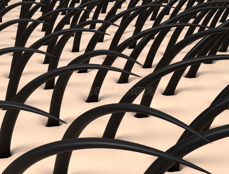 Hair root stock illustration. Illustration of treatment - 163004219