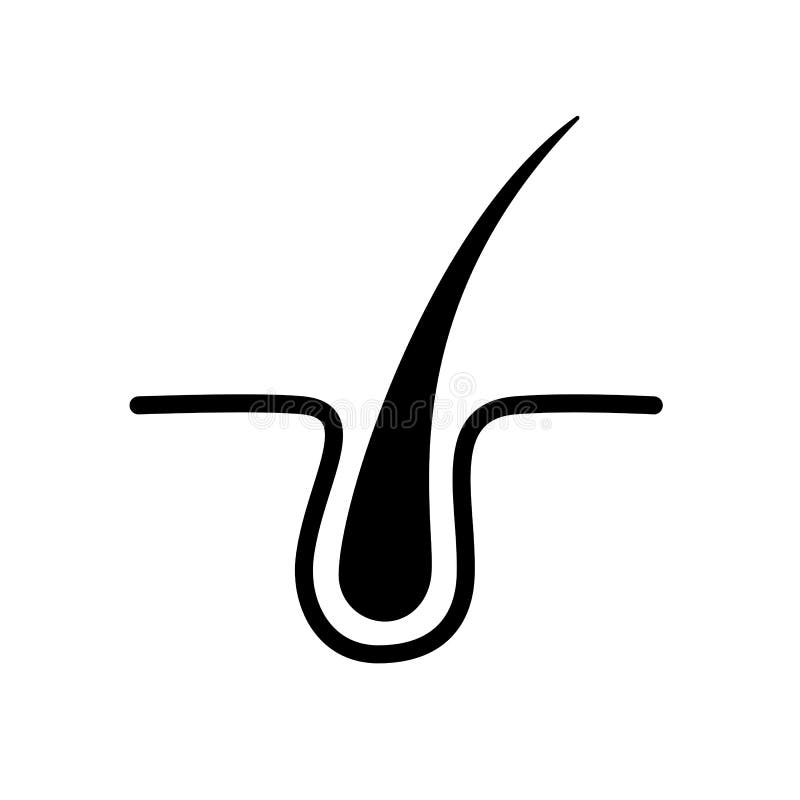 Hair Root Icon Vector Illustration Design Stock Vector - Illustration ...