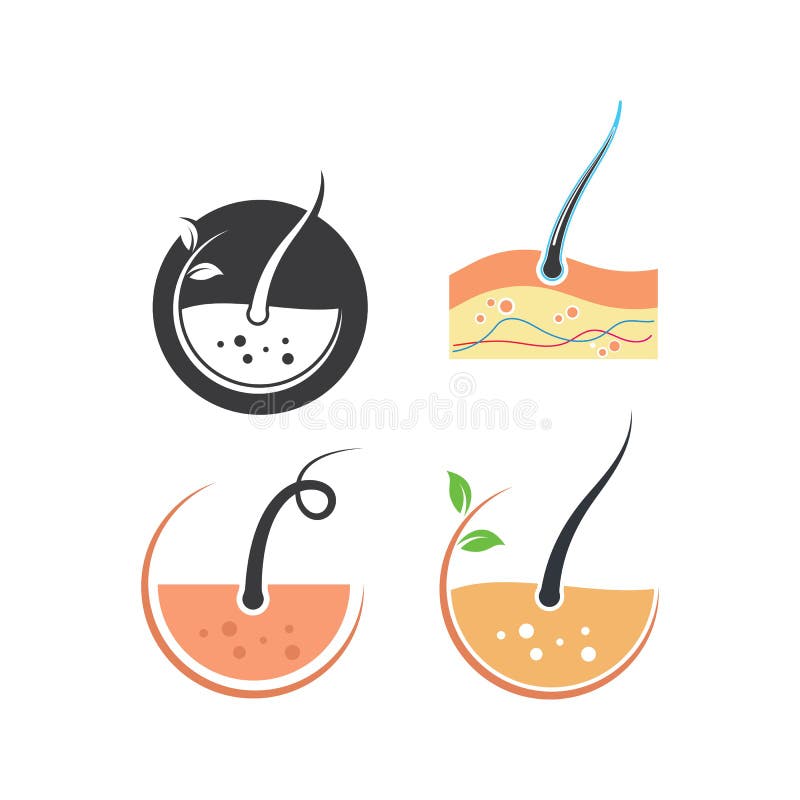 Hair Root Icon Vector Illustration Design Stock Vector - Illustration ...