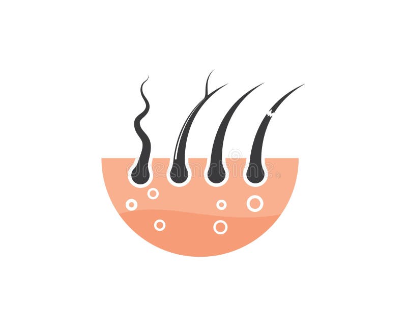 Hair Root Icon Vector Illustration Design Stock Vector - Illustration ...